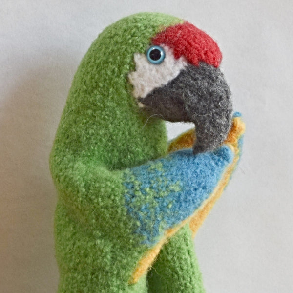 Parrot Puppet by Cynthia Pilon Designs - Yarn Loop